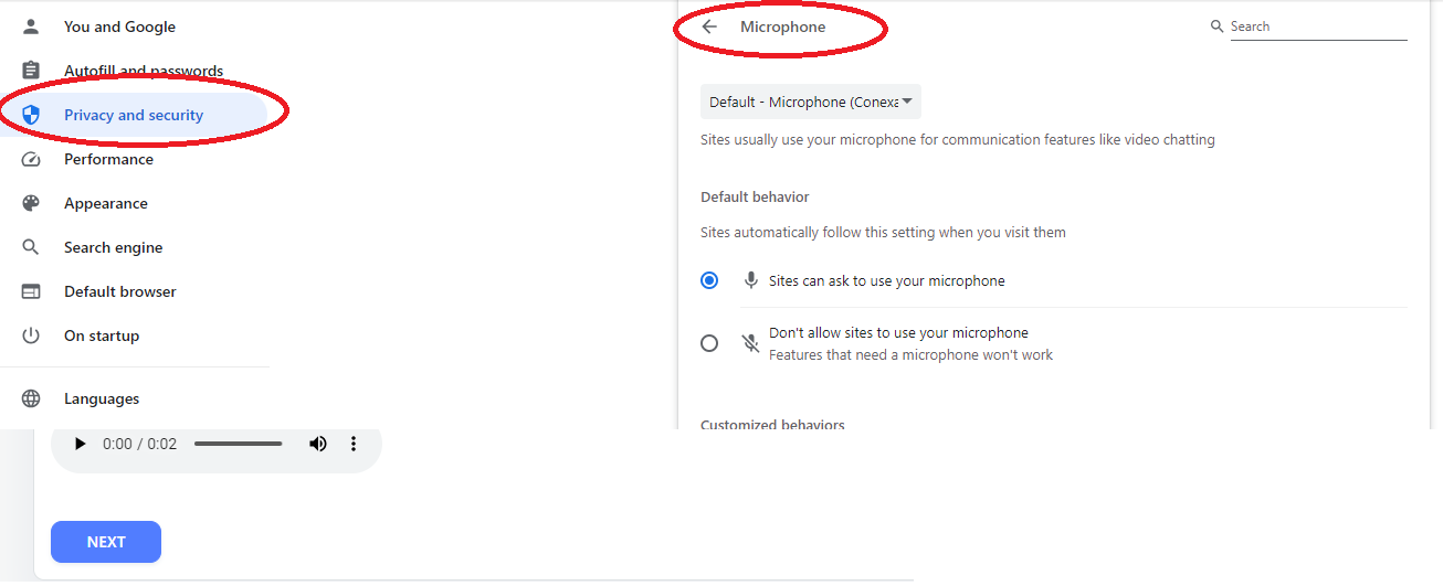 How do I enable my microphone on Google Chrome?
